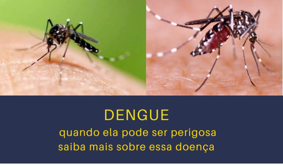 Dengue | o que acontece quando a pessoa está com dengue?